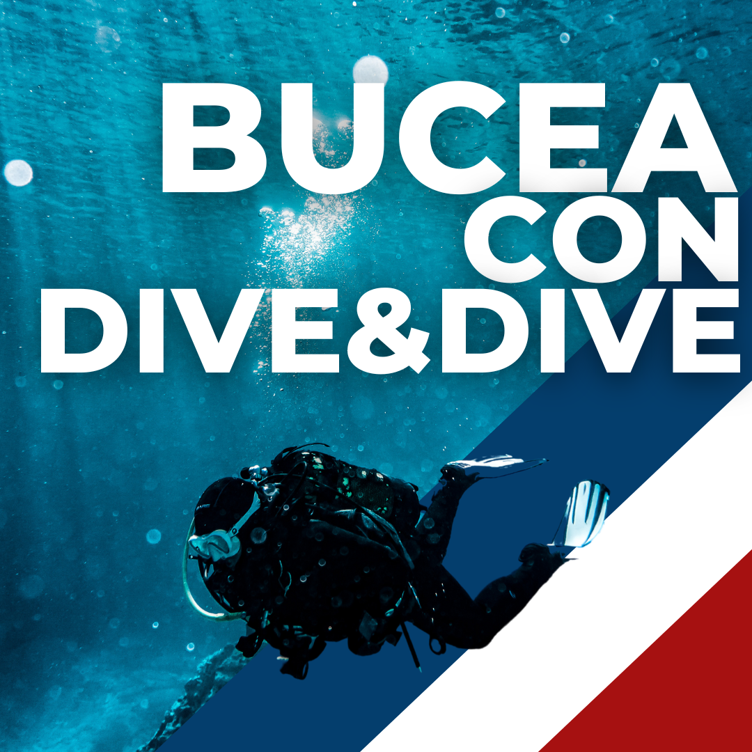 Buceo Dive & Dive - Club Náutico Calpe